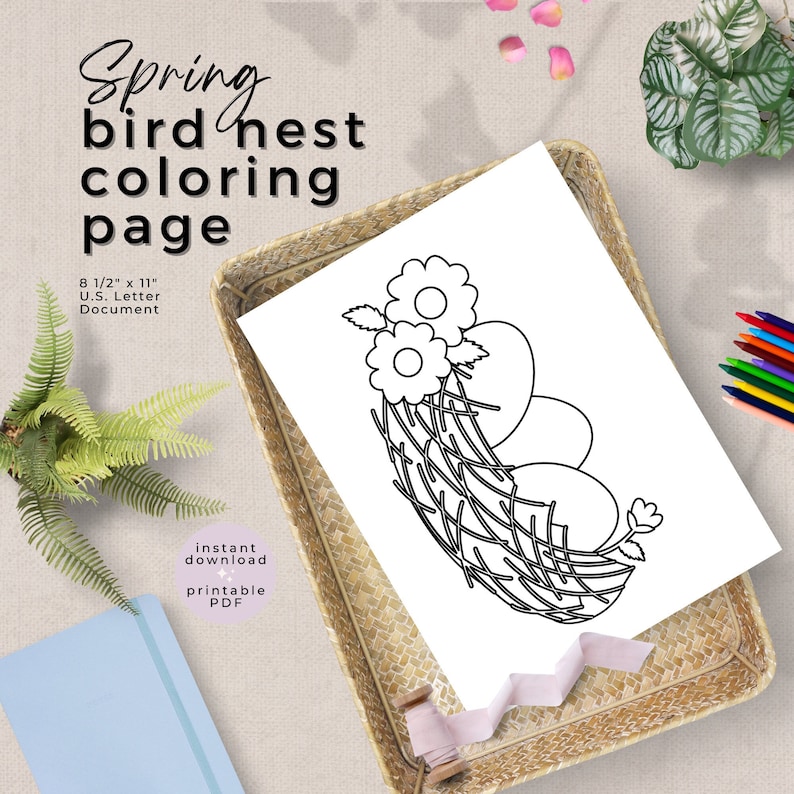 Spring Bird Nest Coloring Page - Printable Bird Nest Coloring Sheet ...