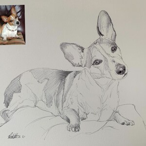 Custom Biro Sketches Pet Portrait Wildlife Artist Custom Drawings - Etsy