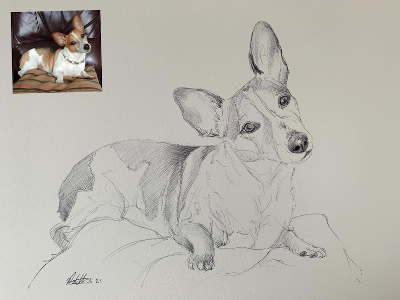 Custom Biro Sketches Pet Portrait Wildlife Artist Custom Drawings - Etsy