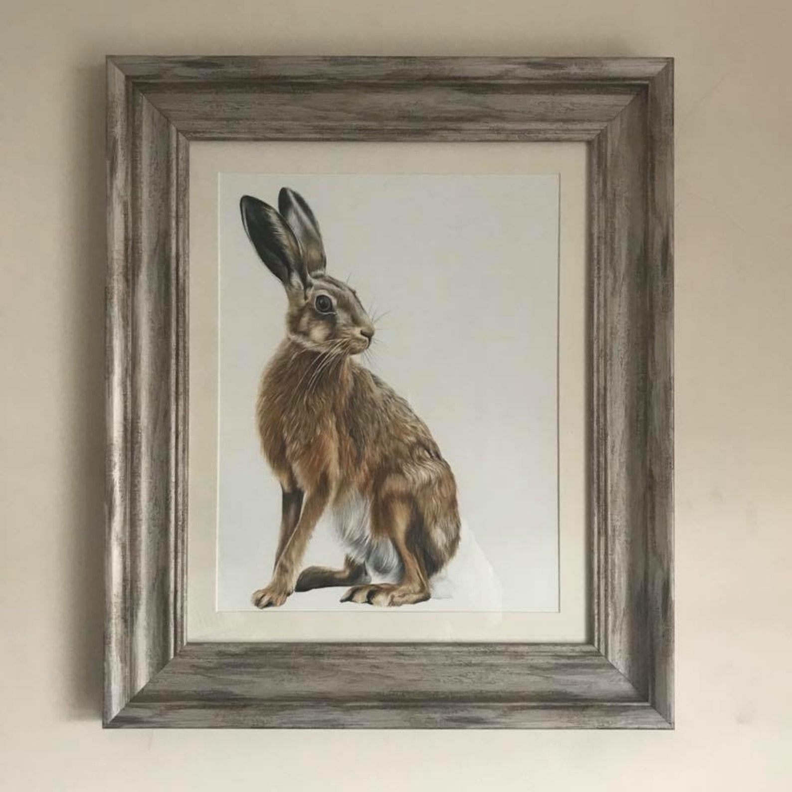 Hamish Hare Limited Edition Print Hare Portrait Rabbit Wildlife Animal ...