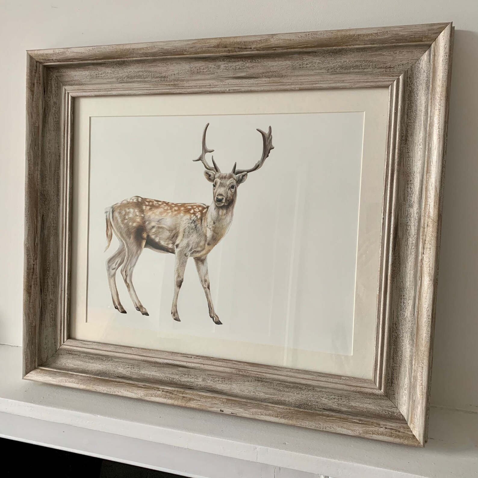 Fallow Deer Original Colour Pencil Portrait Deer Drawing Buck Wildlife ...