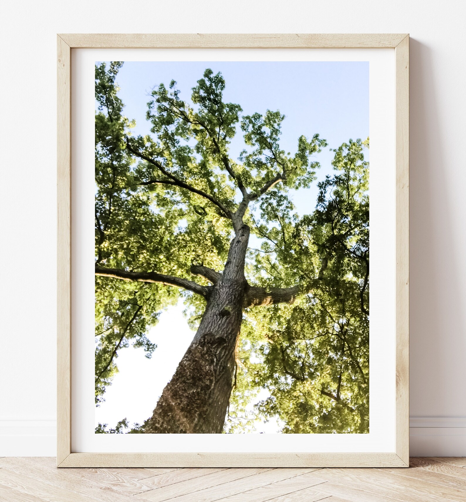 Modern Minimalist: the Family Tree (nature Photography) - Etsy