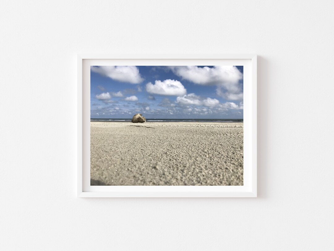 The Lonely Planet (kiawah Island, Sc)(shell)(beach Photo) - Etsy
