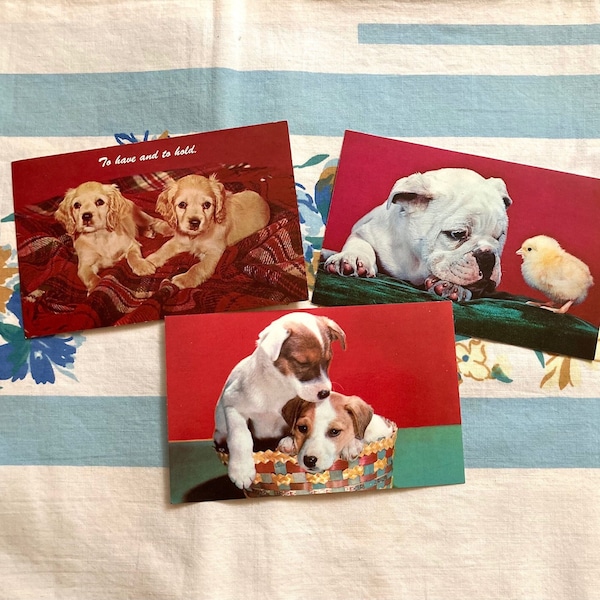 Dog Postcard - Etsy