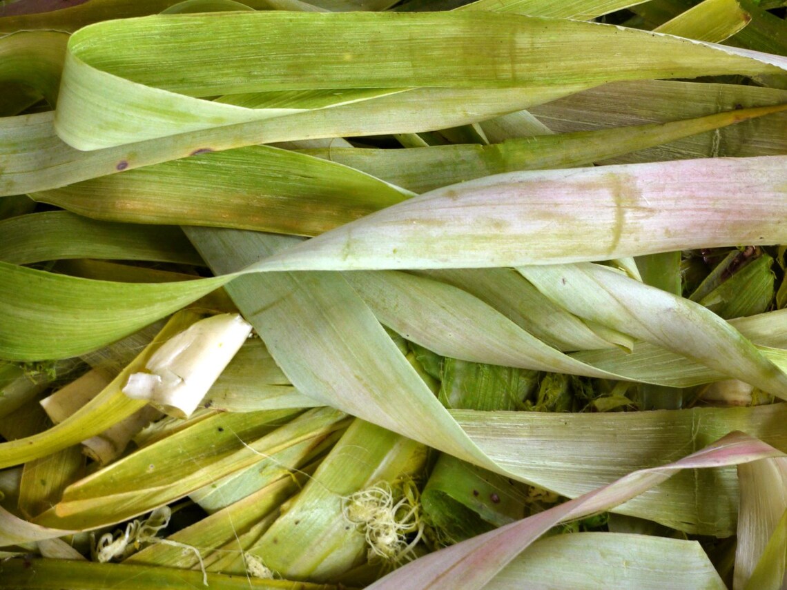 PINEAPPLE FIBER FABRIC / Pina (bast Fiber), Silk - Etsy