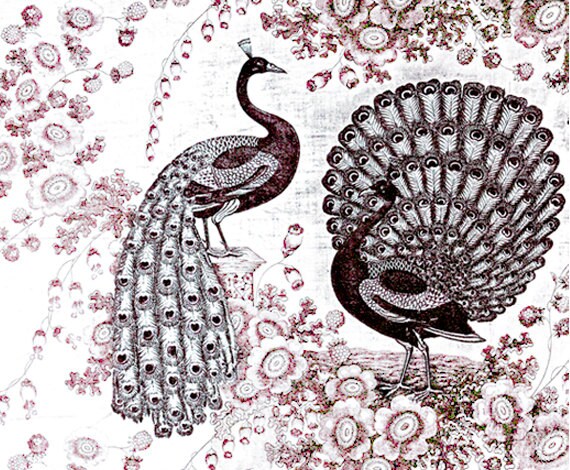 PEACOCK FEATHER FABRIC per Yard - Etsy