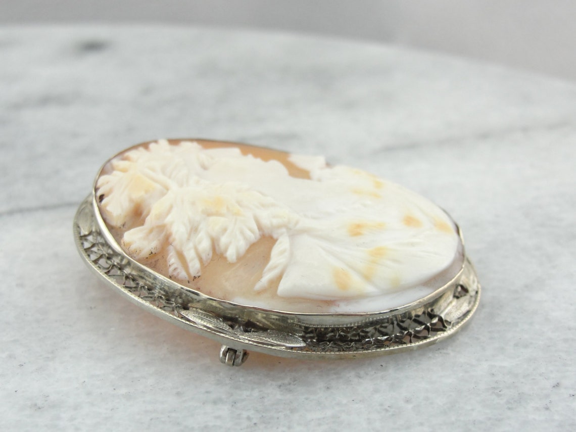 Antique Edwardian Cameo Pendant or Brooch in White Gold Filigree Frame ...