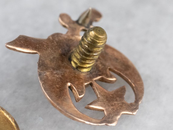 Shriners Enamel Lapel Button, Gold Lapel Pin, Suit Ac… - Gem