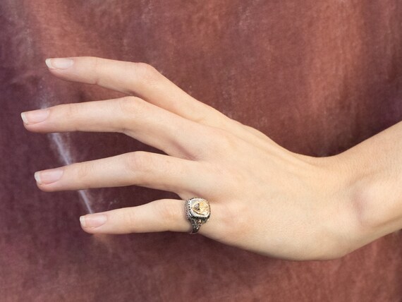 Upper Iowa University School Ring, Two Tone Gold Fili… - Gem