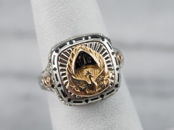 Upper Iowa University School Ring, Two Tone Gold Fili… - Gem