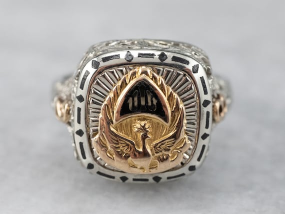Upper Iowa University School Ring, Two Tone Gold Fili… - Gem