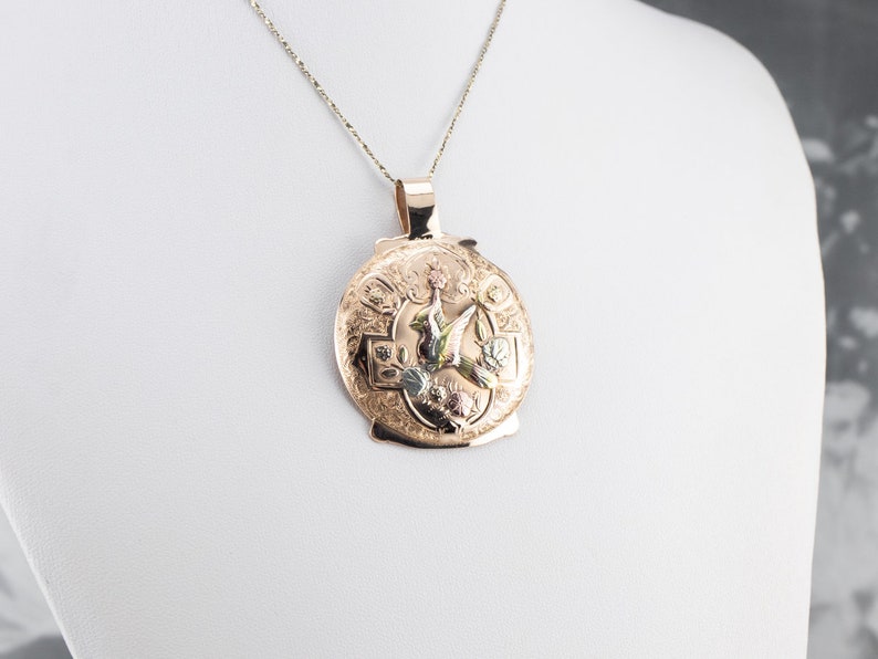 Large Cardinal Bird Disc Pendant Multi Color Gold Pendant - Etsy