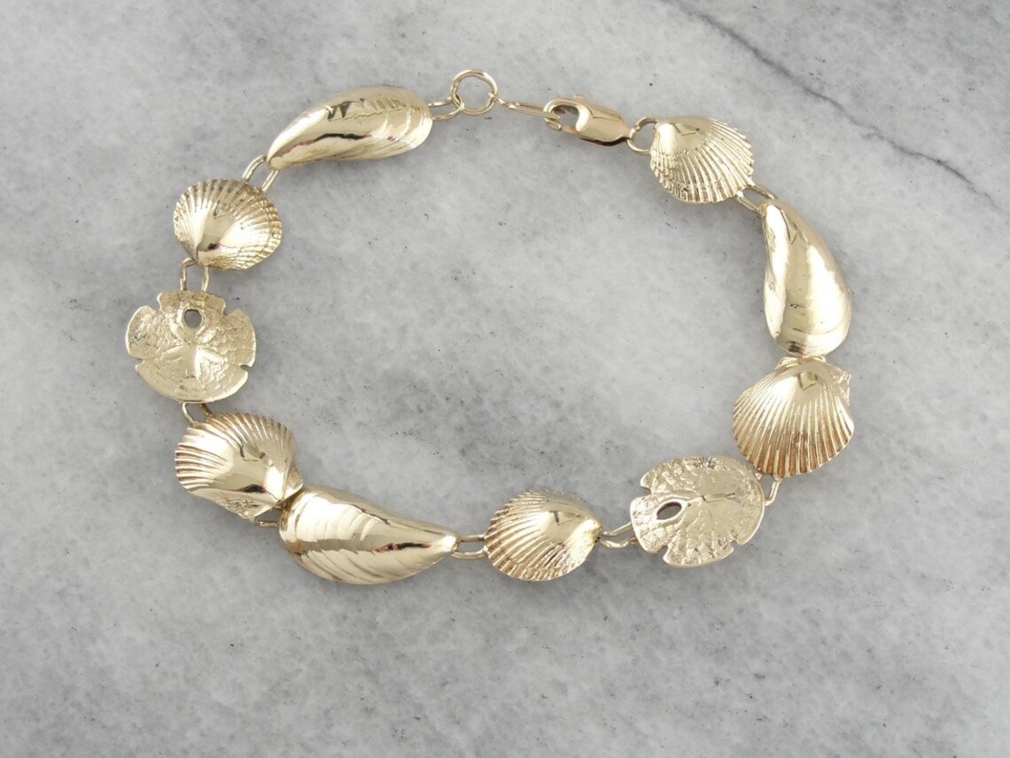 Scallop Mussel and Silver Dollar Shell Link Bracelet CCVMAZ-R | Etsy