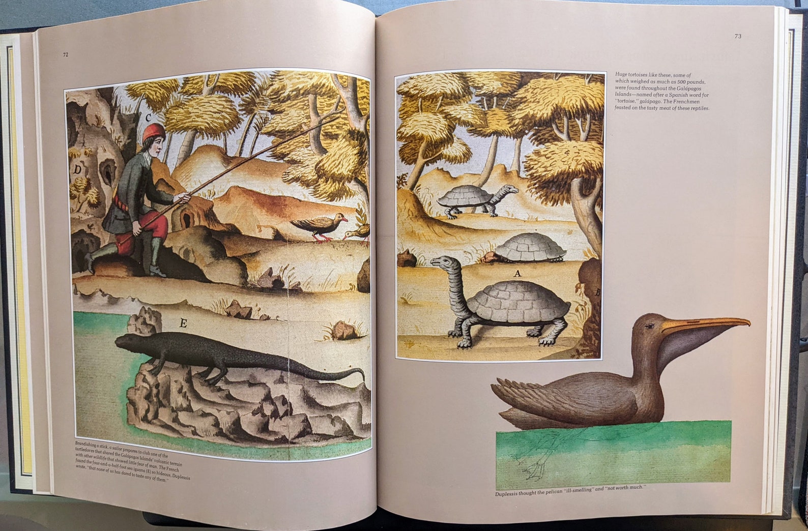 The Pacific Navigators - the Seafarers Series, Published by Time/life ...