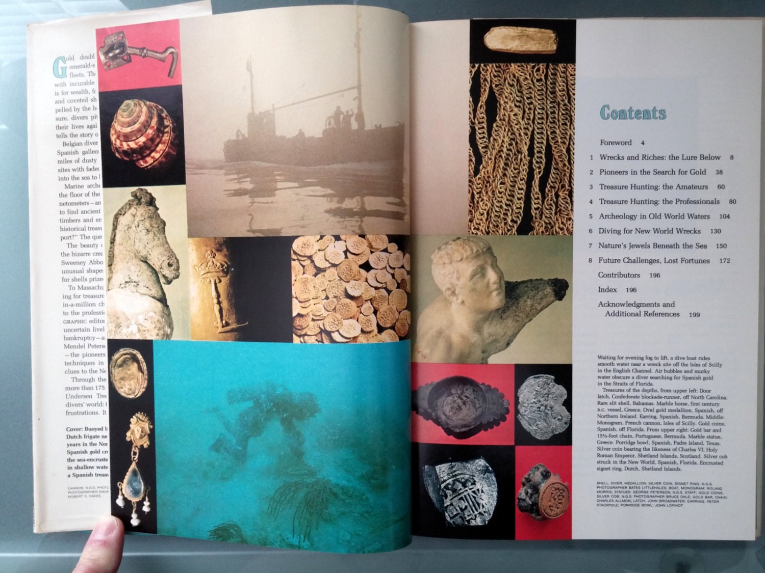 Undersea Treasures -- National Geographic Society, 1974, Close-up of ...
