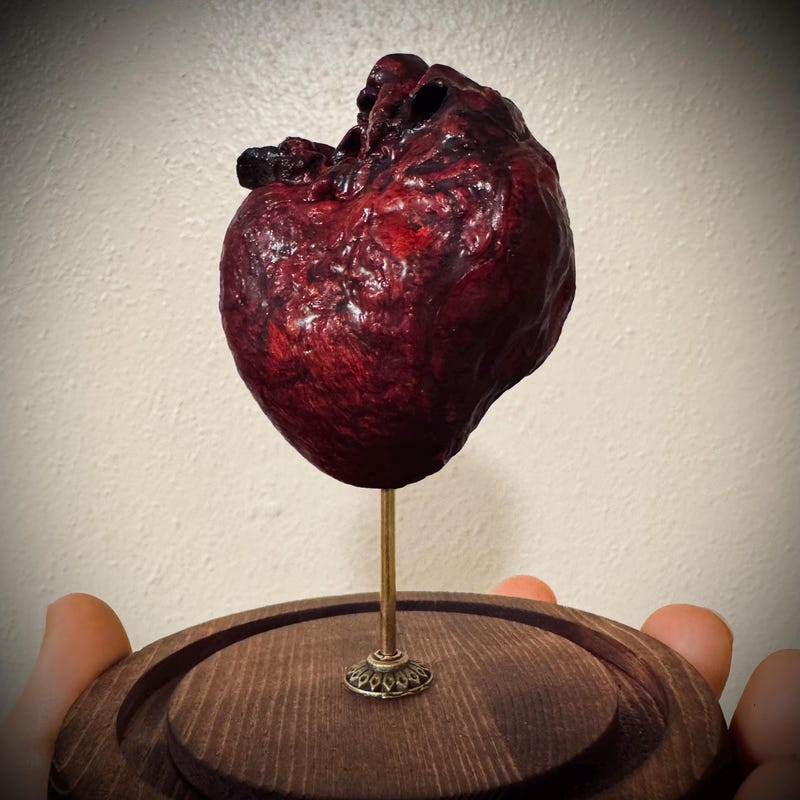 Preserved Animals Hearts - Etsy