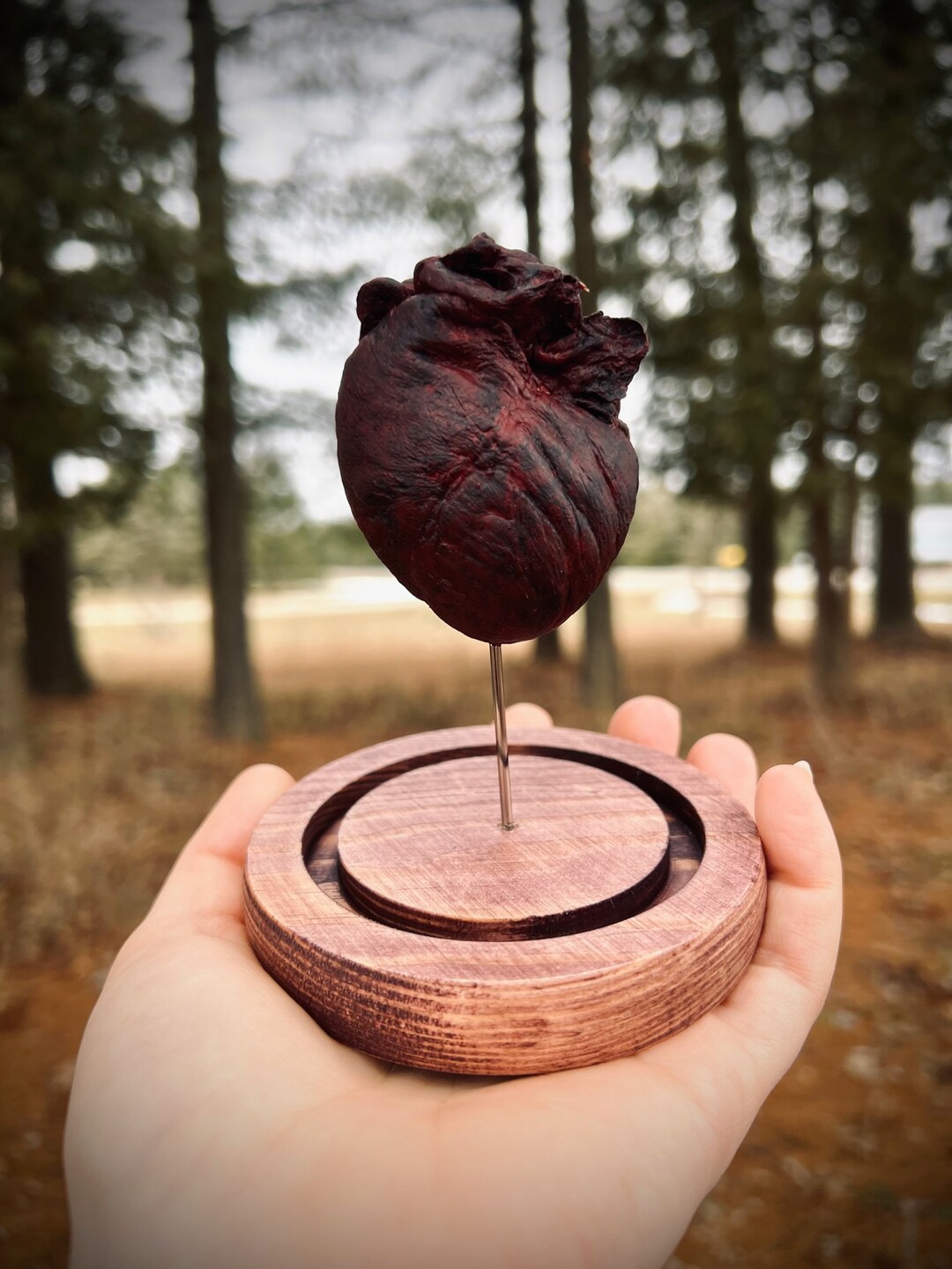 Mummified Heart Fox Heart - Etsy