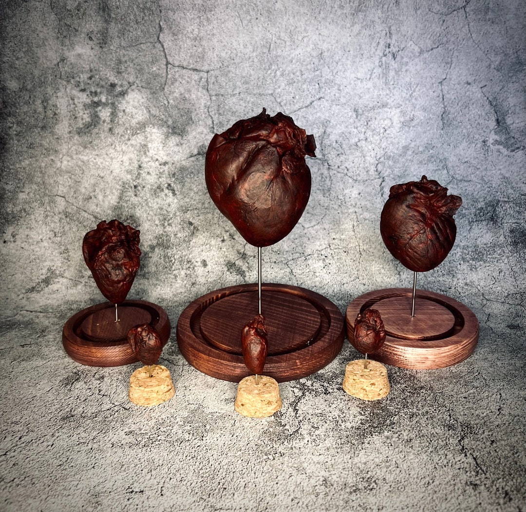 Mummified Hearts - Real Animal Hearts - Preserved Hearts - Etsy