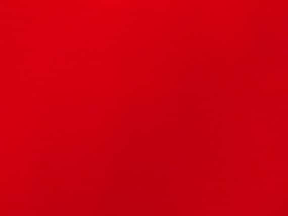 Bright Red Flocked Velvet Fabric for Upholstery Craft Curtain - Etsy