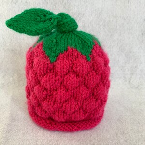 Raspberry Hat for Babies, Toddlers, Kids, Adults - Etsy