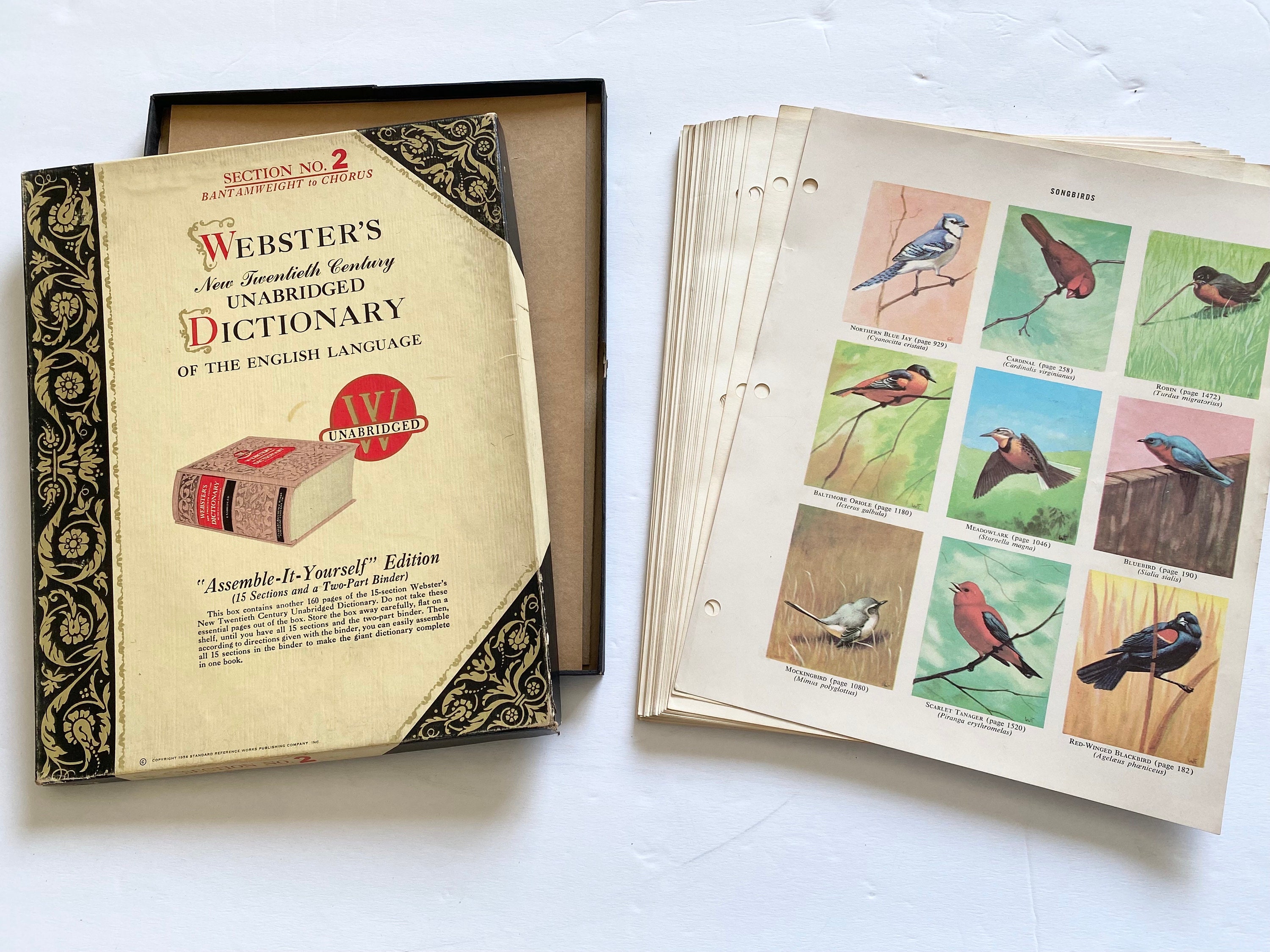 Vintage 1956 Dictionary Pages Websters Unabridged Dictionary Loose Numbered Pages 80 Pages Boxed ...