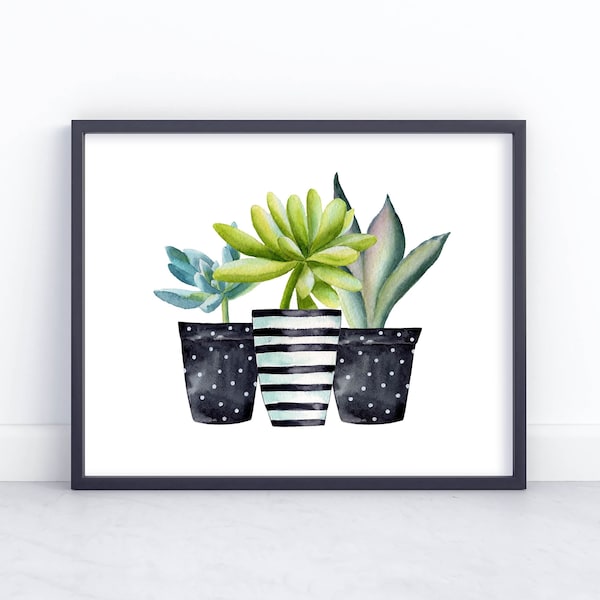 Succulent Wall Art - Etsy