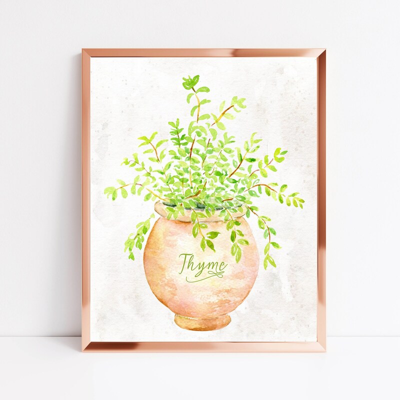 Thyme Sign - Etsy