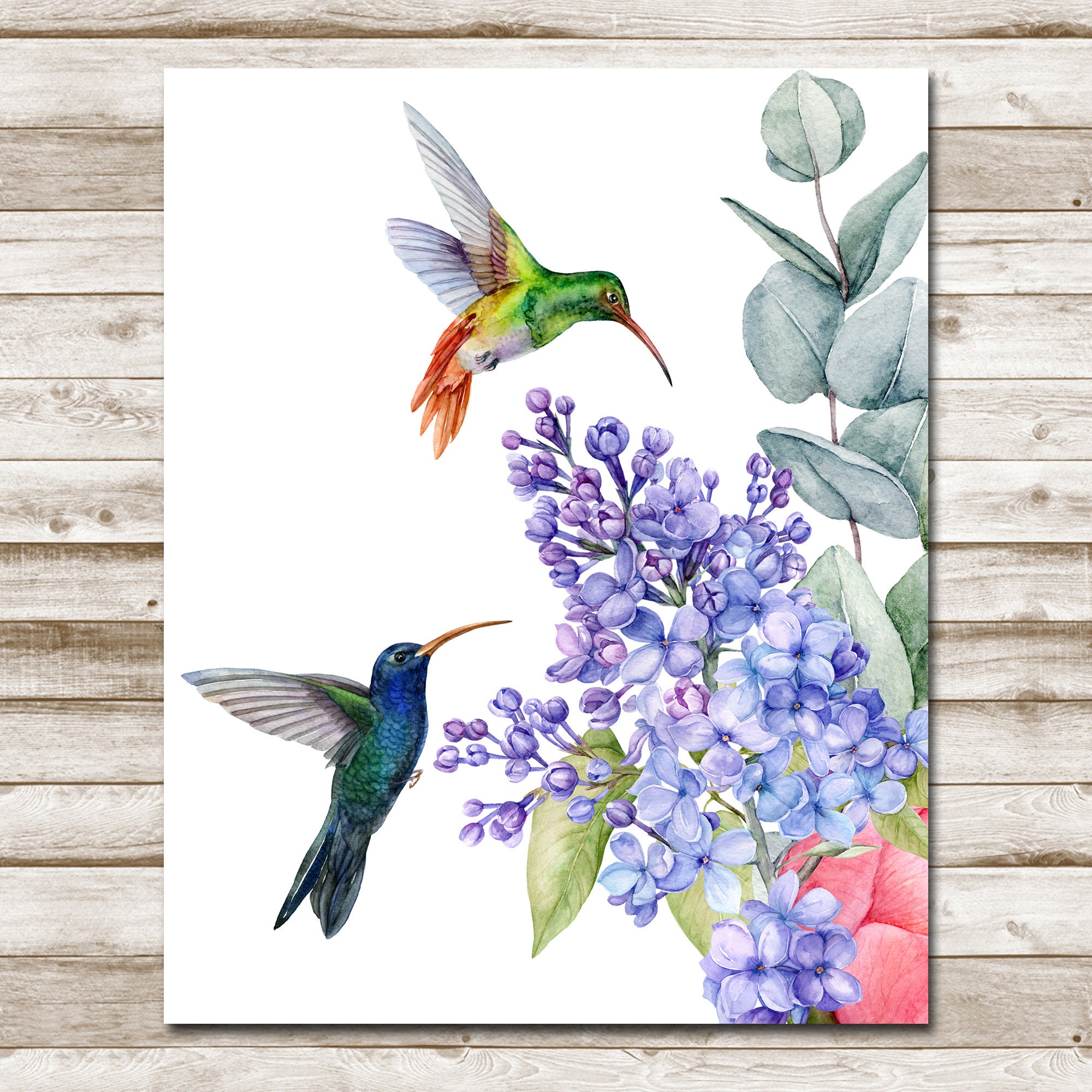 Hummingbird Printable Hummingbird Sign 5x7 8x10 11x14 16x20 | Etsy