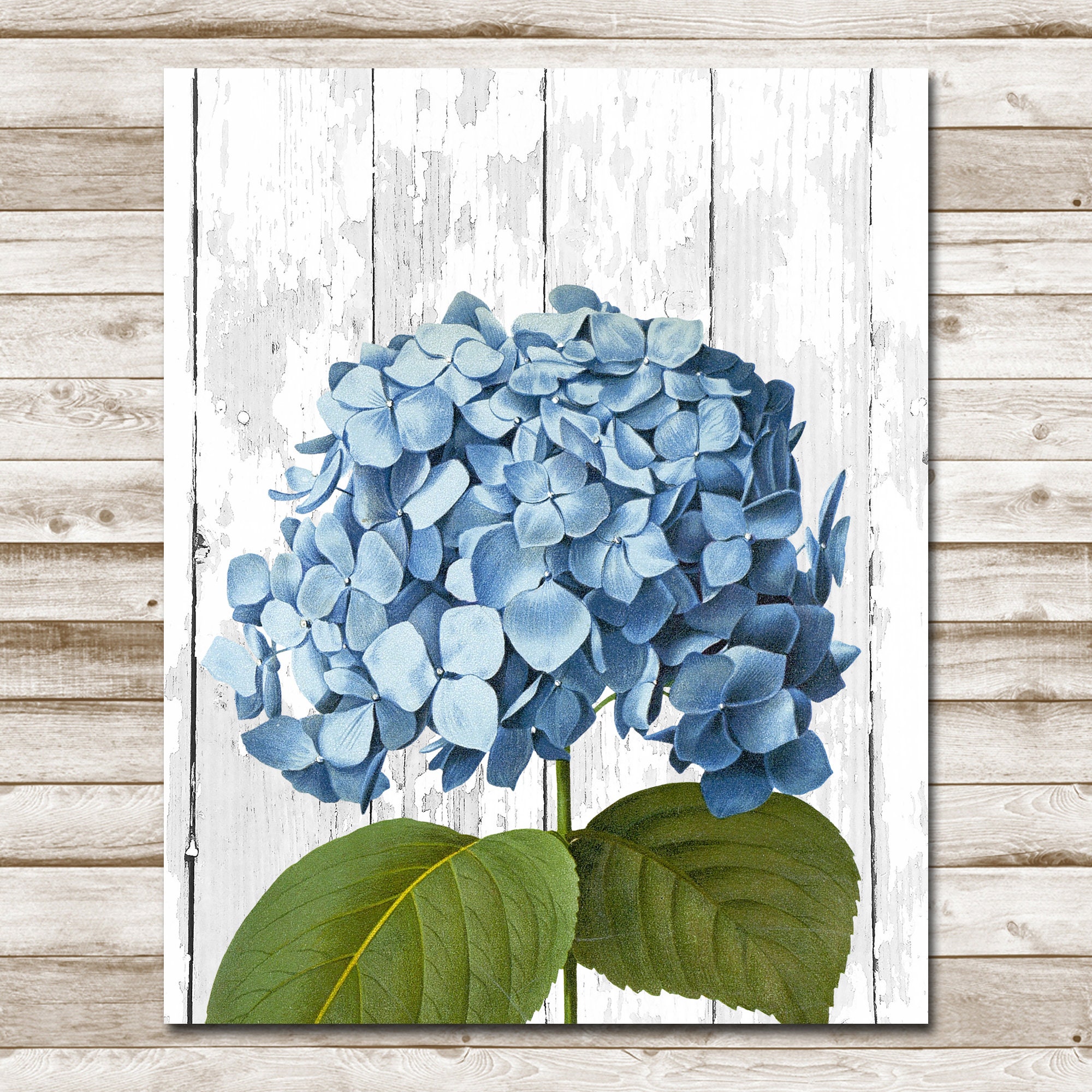 Hydrangea Printable Vintage Rustic Home Decor Flower Wall Art | Etsy