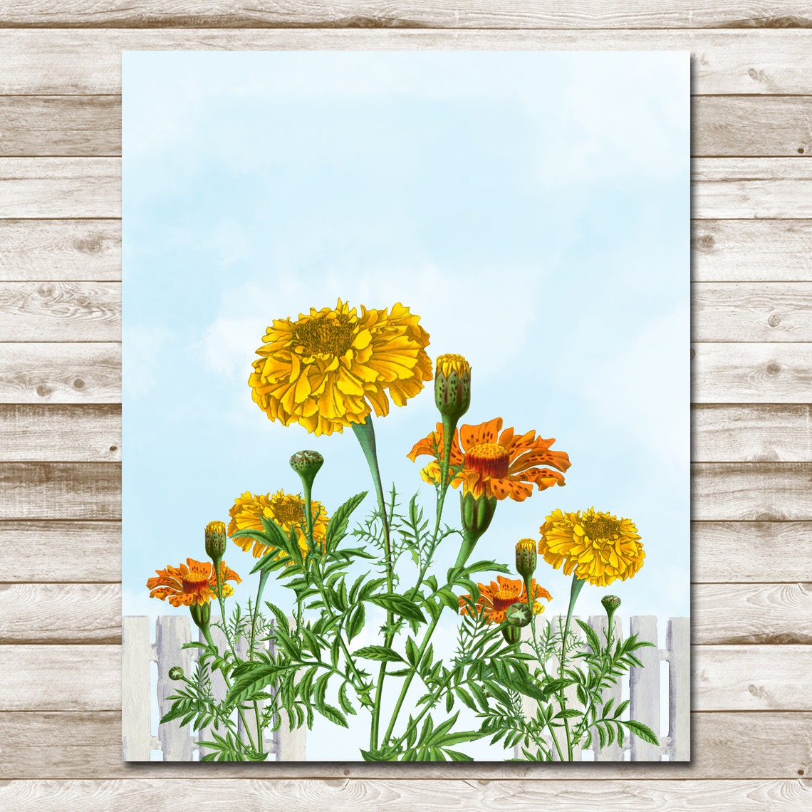 Marigold Printable Wall Decor Country Floral Sign 5x7 8x10 | Etsy
