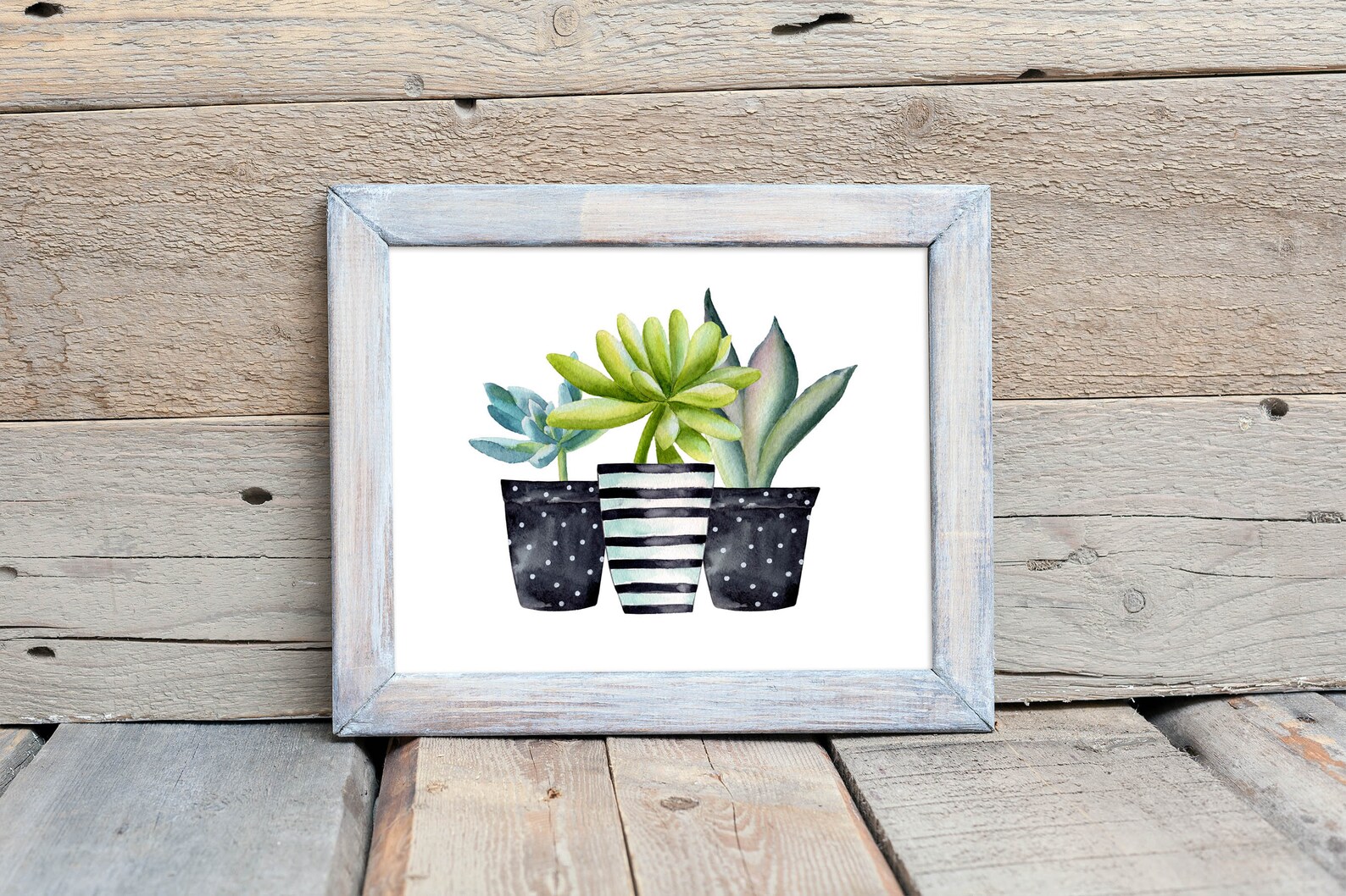Potted Succulents Printable 5x7 8x10 11x14 16x20 Succulent - Etsy