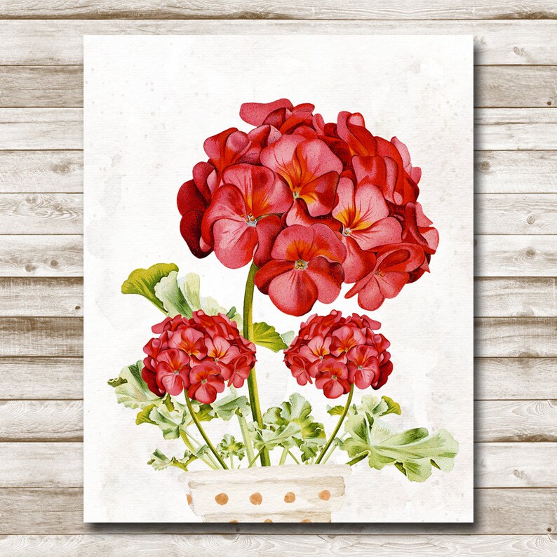 Geranium Printable Vintage Bouquet Home Decor Country Garden | Etsy
