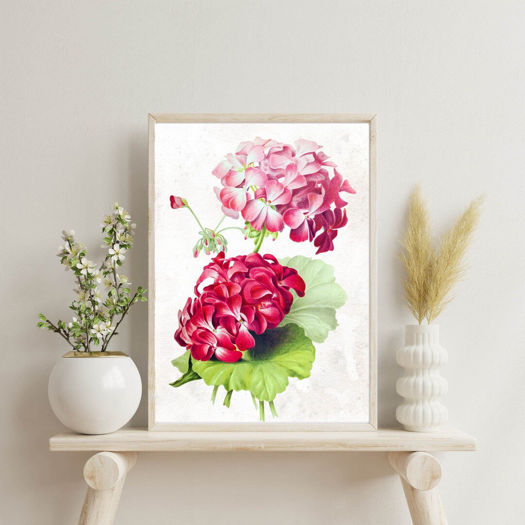 Geranium Printable Vintage Bouquet Home Decor Country Garden Wall Art ...