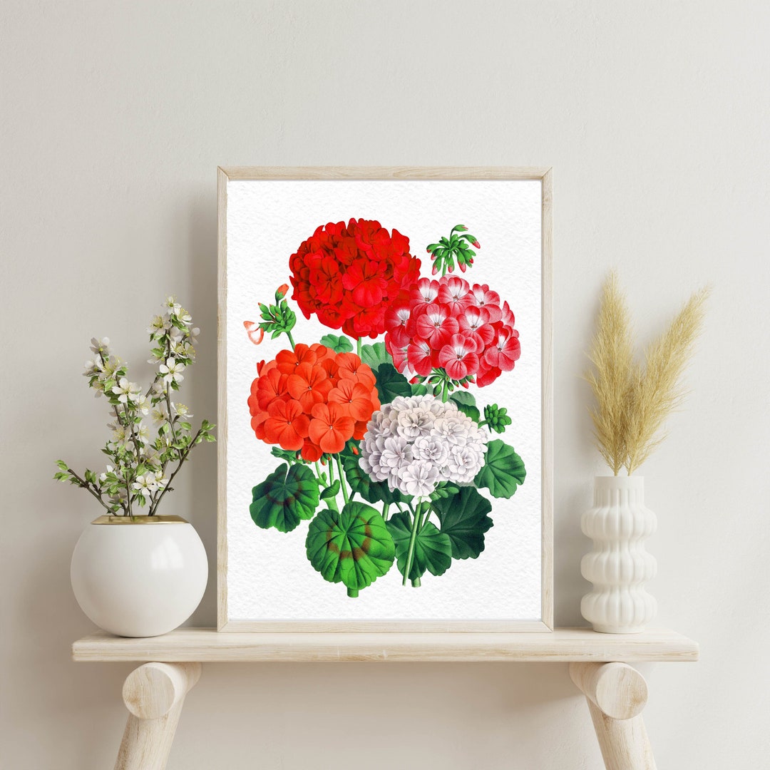 Geranium Printable Vintage Bouquet Home Decor Country Garden Wall Art ...