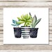 Potted Succulents Printable 5x7 8x10 11x14 16x20 Succulent Wall Art ...