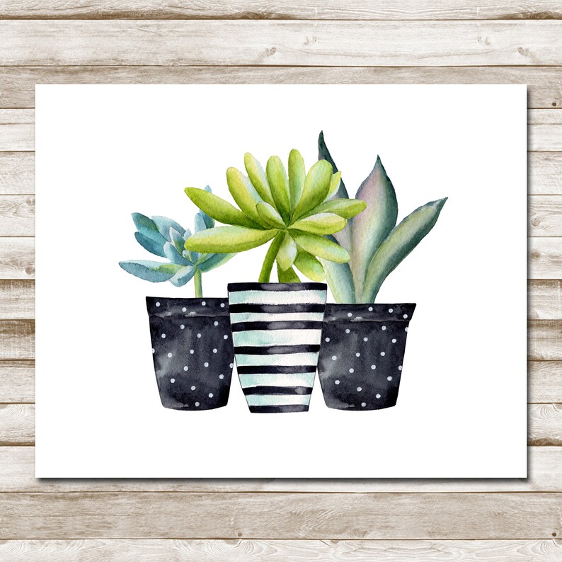 Potted Succulents Printable 5x7 8x10 11x14 16x20 Succulent | Etsy