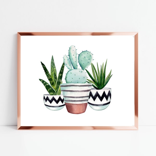 Potted Succulents - Etsy