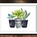 Potted Succulents Printable 5x7 8x10 11x14 16x20 Succulent Wall Art ...