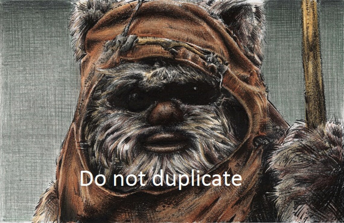 Wicket 11 X 17 Colored Pencil Drawing Print - Etsy