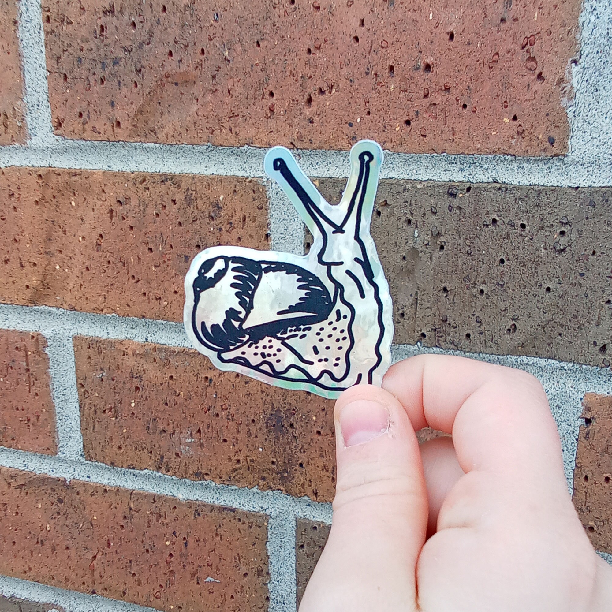 Snail Sticker | Etsy