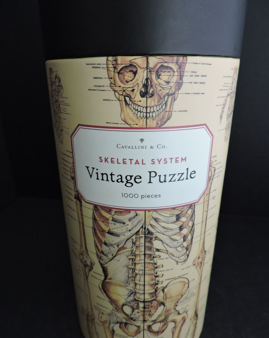 Vintage Jigsaw Puzzle of Skeletal System Detailed Bones Skeleton Poster ...