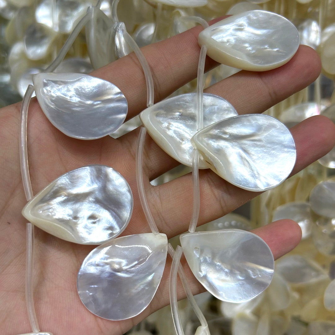 White Shell Teardrop Beads, Natural Shell Beads, Concave Fan-shaped ...