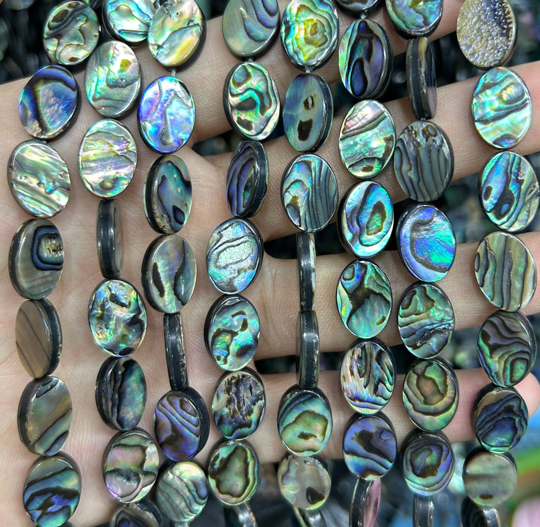 Abalone Shell Oval Beads, Natural Shell Beads, Shell Flat Loose Beads ...