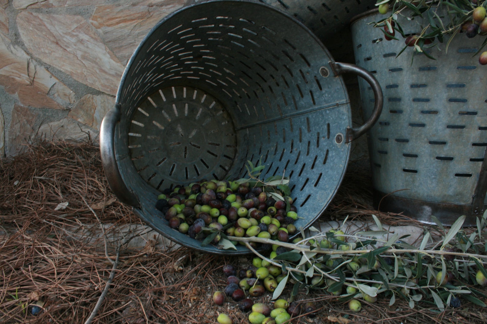 3 Quantities of Olive Basket metal Bucketmetal Olive - Etsy