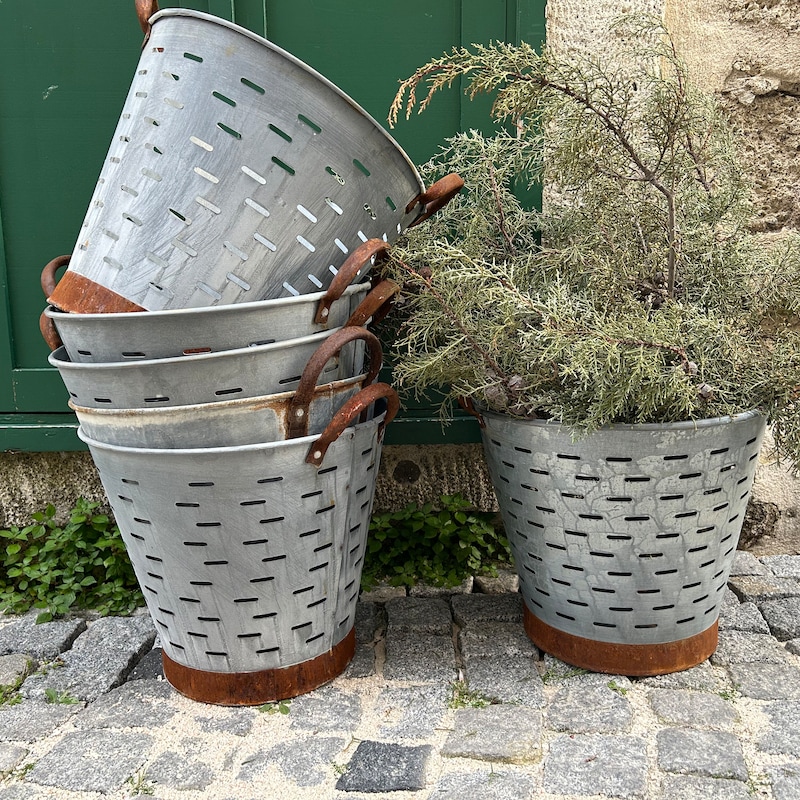 Olive Bucket - Etsy
