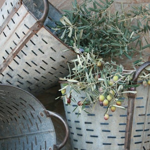 4 Quantities of Rustic Olive Basket and Metal Bucket ,metal Olive ...