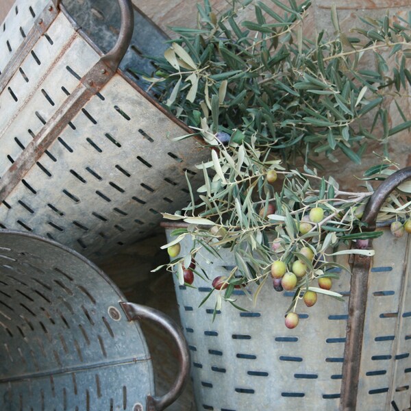 Olive Bucket - Etsy