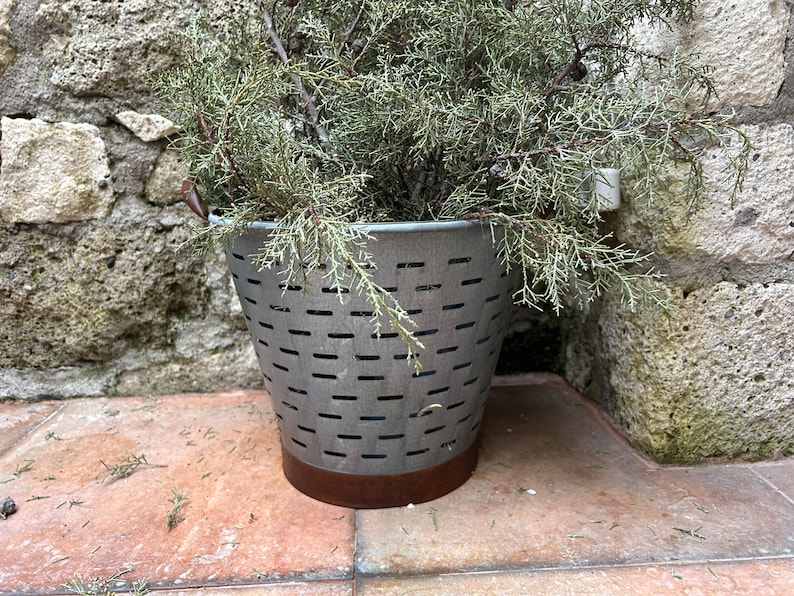 Set of 3 Vintage Galvanized Metal Olive Bucket, Rustic Farmhouse Decor ...