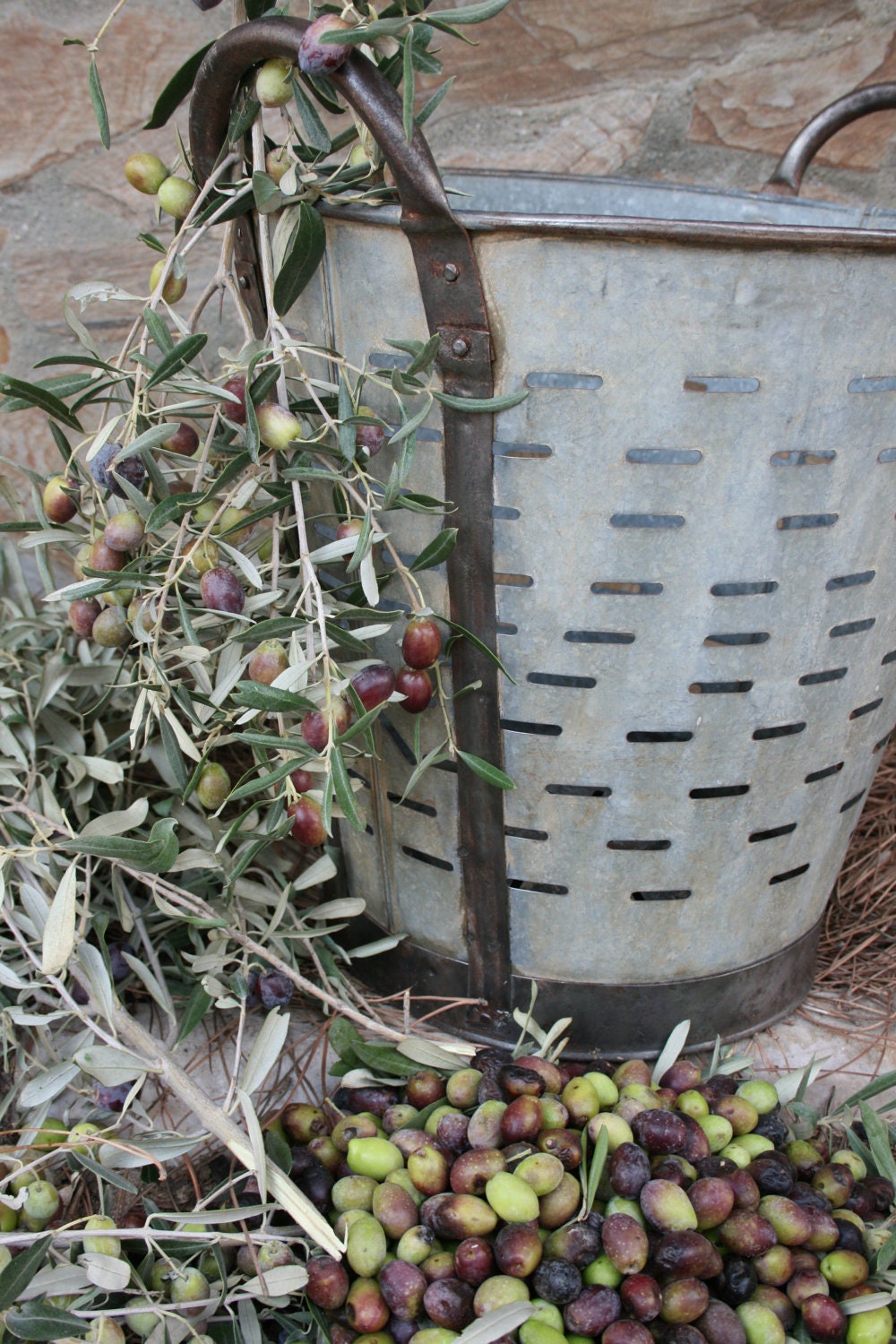 10 Quantities of Rustic Olive Basketmetal Olive - Etsy