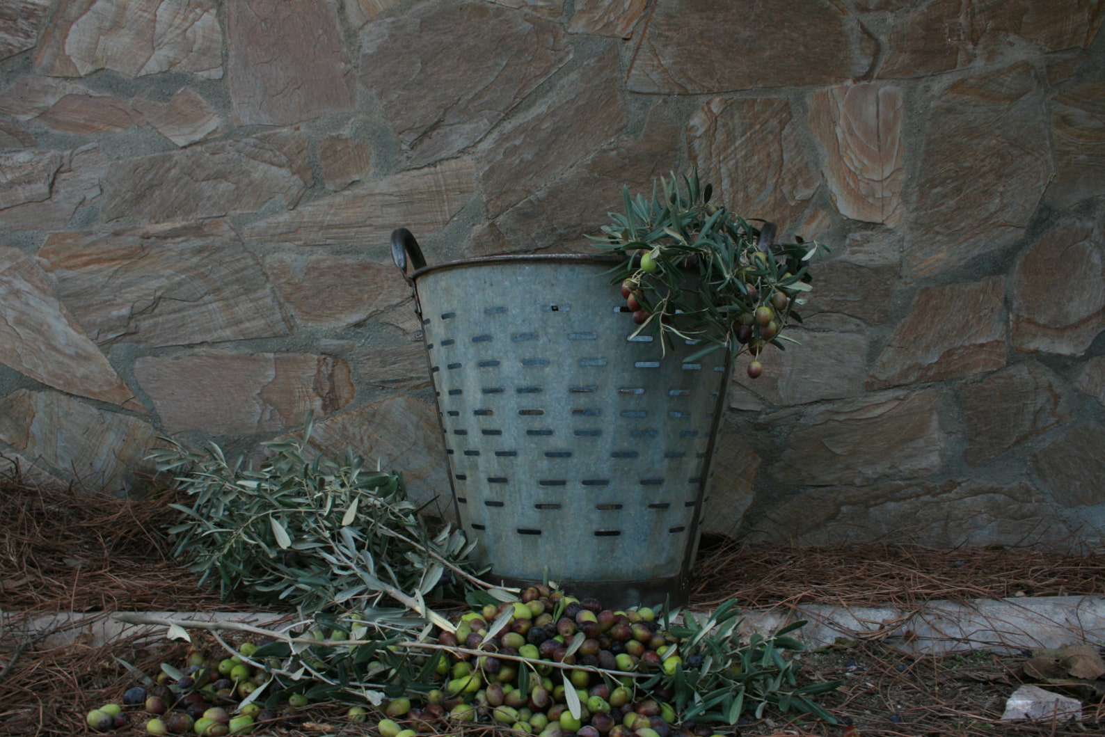 3 Quantities of Olive Basket metal Bucketmetal Olive - Etsy